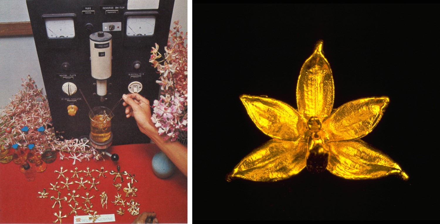 Singapore’s National Souvenir: The Gold-plated Past of RISIS